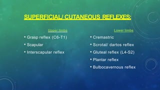 Plantar reflex | PPTX