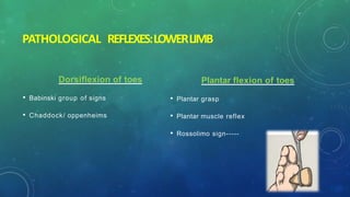 Plantar reflex | PPTX