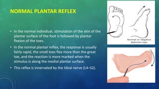 Plantar reflex | PPTX