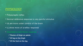 Plantar reflex | PPTX