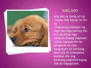 Planters elementary school | PPTX