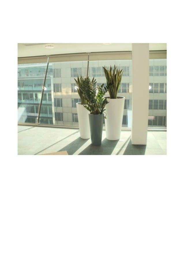 Planters | PDF
