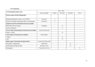 PLAN TESIS MELISSA CARPIO SALAZAR.doc