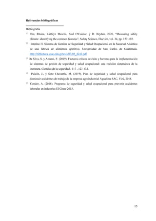 PLAN TESIS MELISSA CARPIO SALAZAR.doc