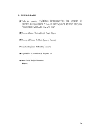 PLAN TESIS MELISSA CARPIO SALAZAR.doc