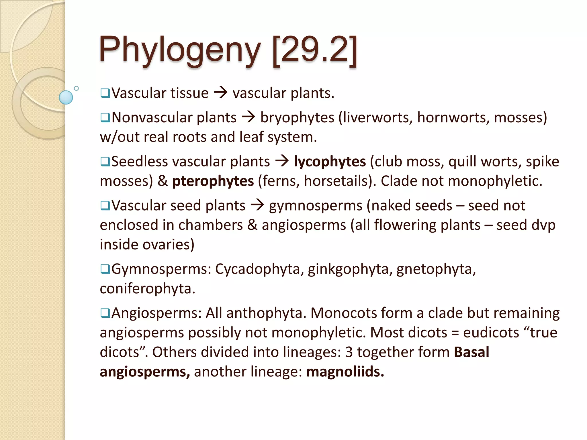Evolution of Plants | PPTX