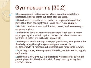 Evolution of Plants | PPTX