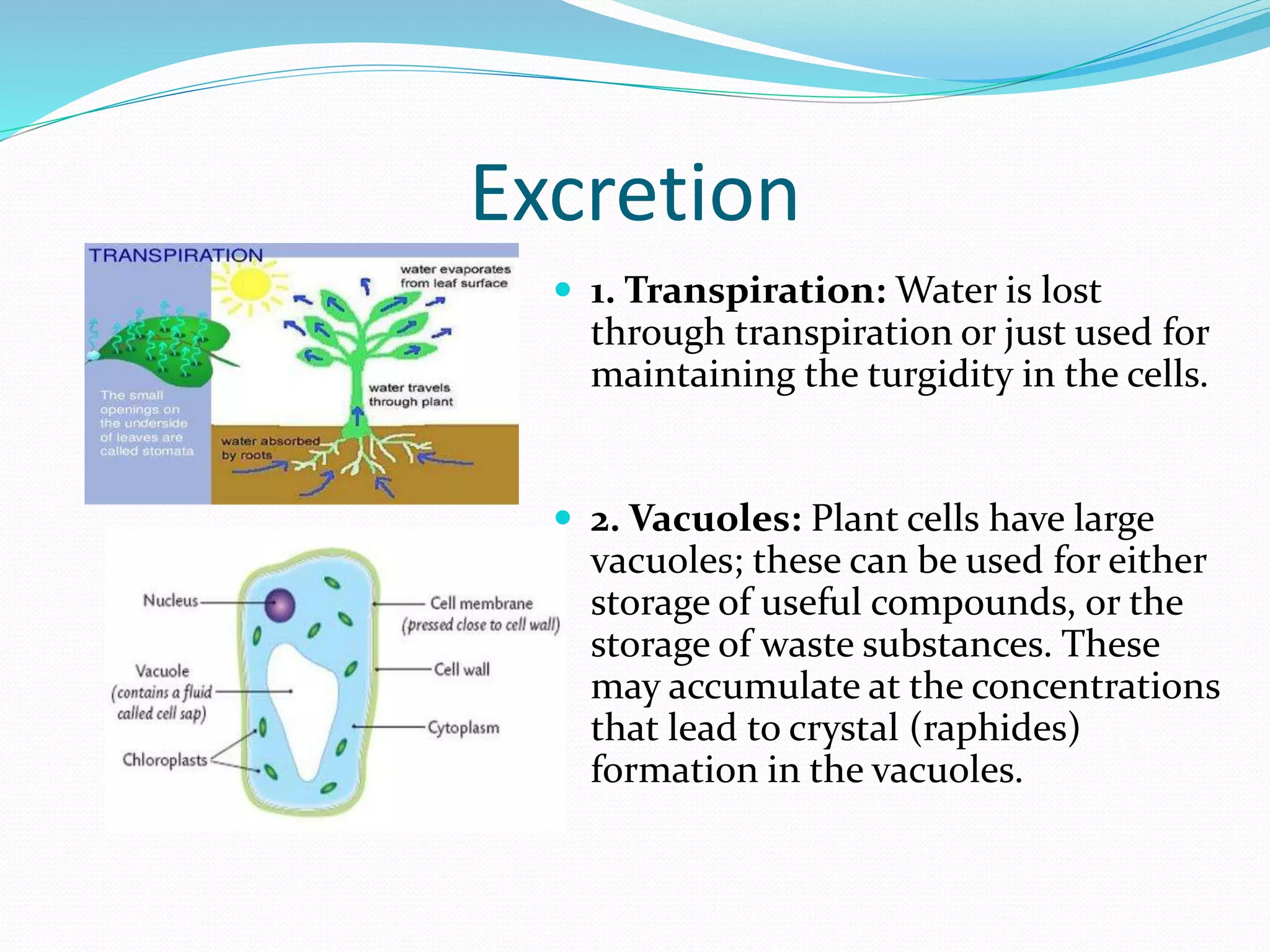 Plant excretion | PPTX