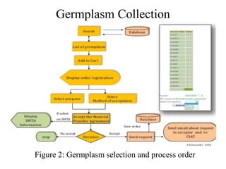 Plant exploration, germplasm collection, conservation and utilization | PPTX