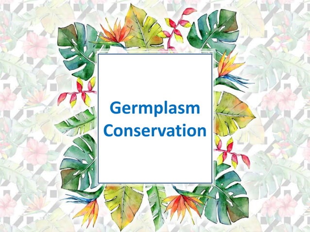 Plant exploration, germplasm collection, conservation and utilization ...