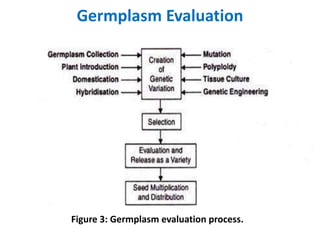 Plant exploration, germplasm collection, conservation and utilization ...