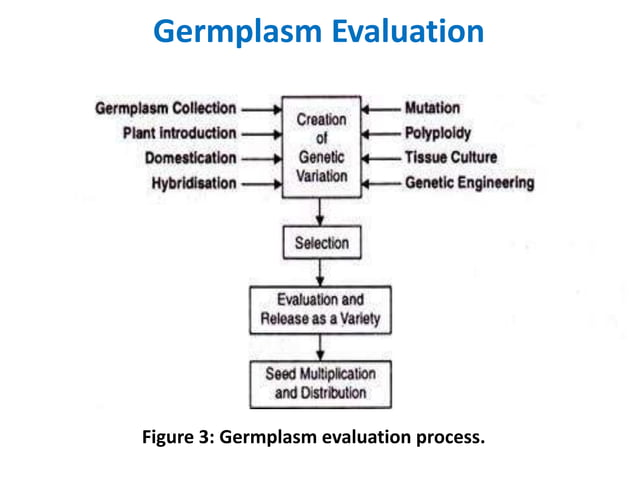Plant exploration, germplasm collection, conservation and utilization ...