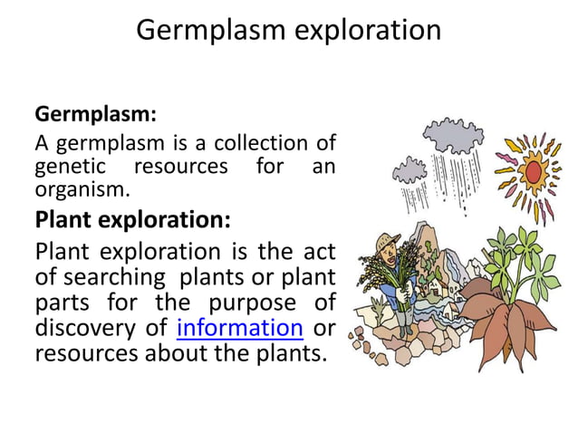 Plant exploration, germplasm collection, conservation and utilization ...