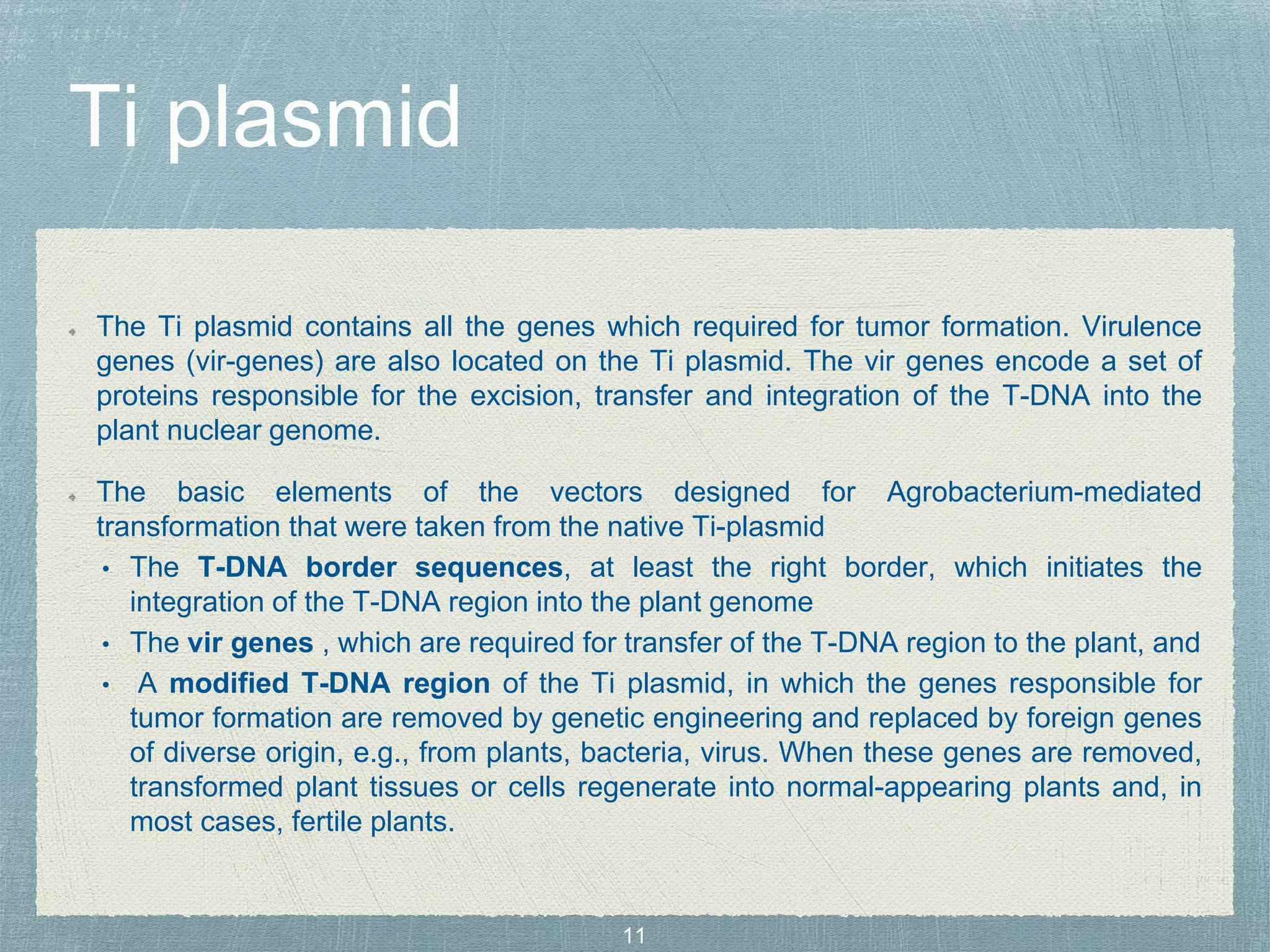 Plant expression vectors | PPTX