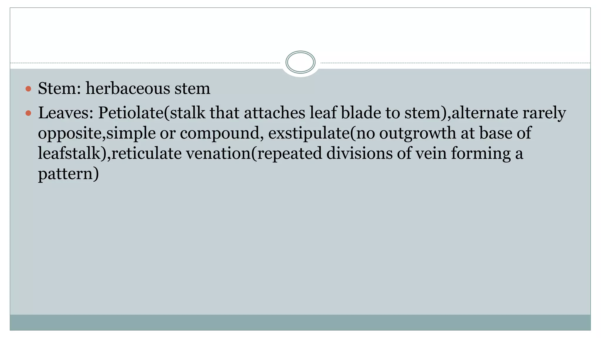 Plant families | PPTX