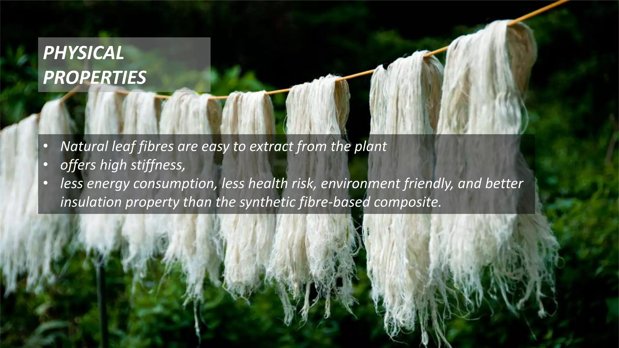 PLANT FIBER PPT.pptx