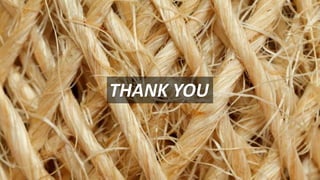 PLANT FIBER PPT.pptx