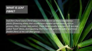 PLANT FIBER PPT.pptx