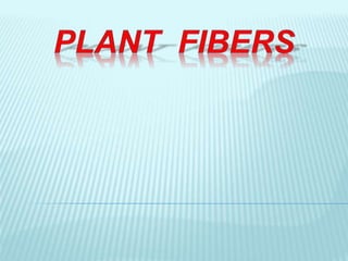 Plant fibers | PPTX