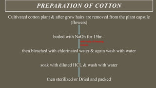 Plant fibers used as surgical dressings.pptx