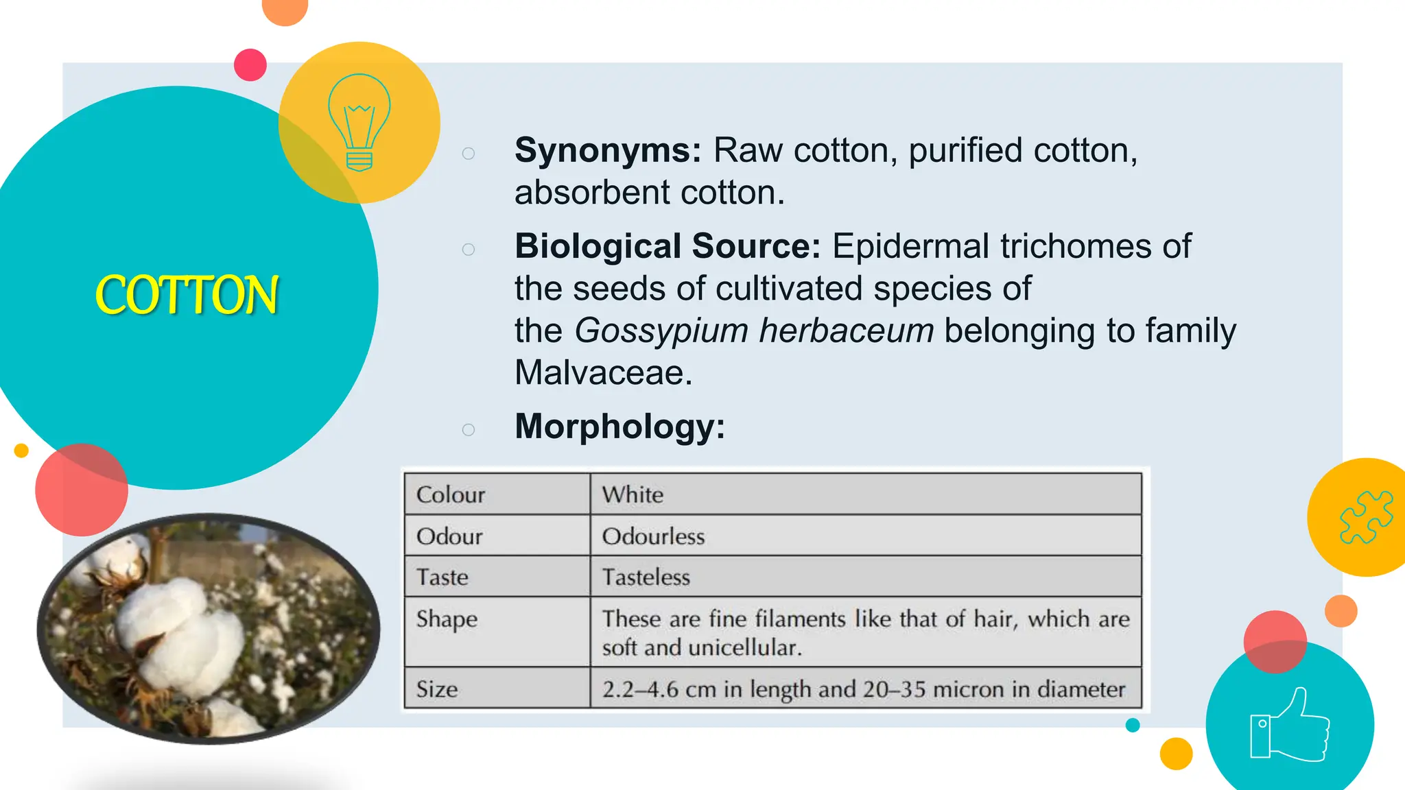 PLANT FIBRES USED AS SURGICAL DRESSING.pptx