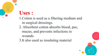 PLANT FIBRES USED AS SURGICAL DRESSING.pptx
