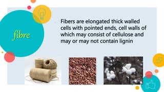 PLANT FIBRES USED AS SURGICAL DRESSING.pptx