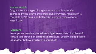PLANT FIBRE USED IN SURGICAL DRESSINGS.pptx