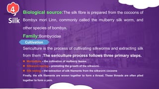 PLANT FIBRE USED IN SURGICAL DRESSINGS.pptx