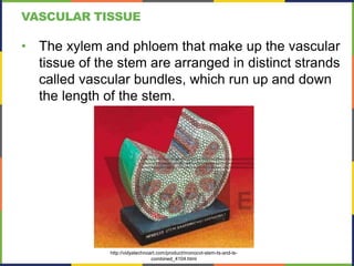 Plant Form and Physiology.pdf