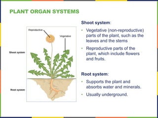 Plant Form and Physiology.pdf