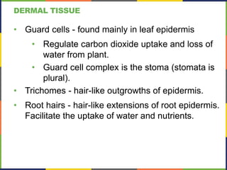 Plant Form and Physiology.pdf