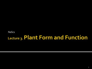 Plant form & function part 2 | PPTX
