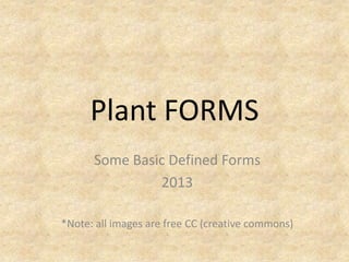 Plant forms | PPTX