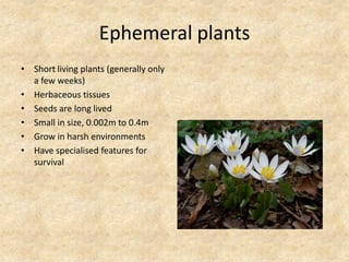 Plant forms | PPTX
