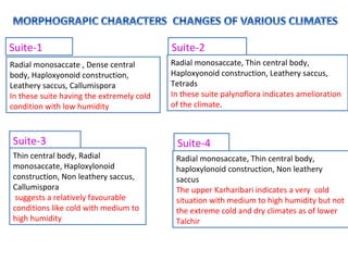 Plant fossils are good indicators of palaeo-climate | PPT