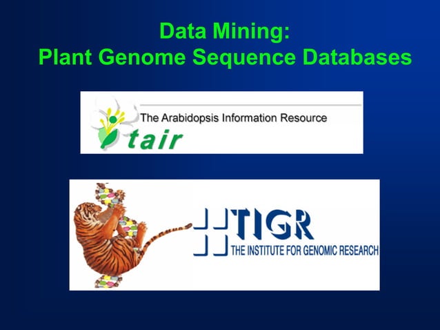 Plant functionalgenomics | PPT