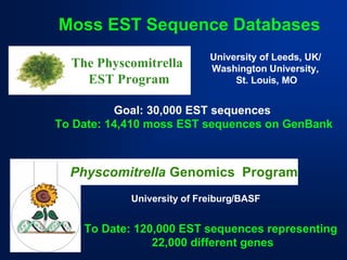 Plant functionalgenomics | PDF