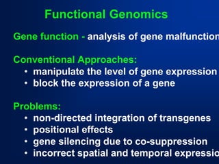 Plant functionalgenomics | PPT