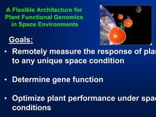 Plant functionalgenomics | PPT