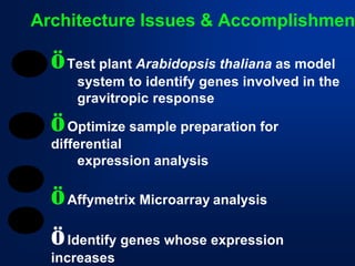 Plant functionalgenomics | PPT