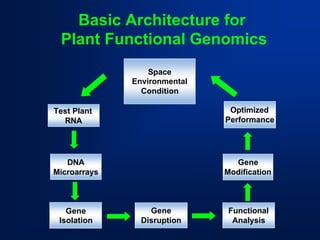Plant functionalgenomics | PPT