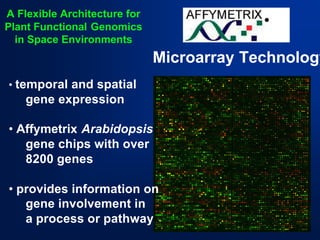 Plant functionalgenomics | PPT