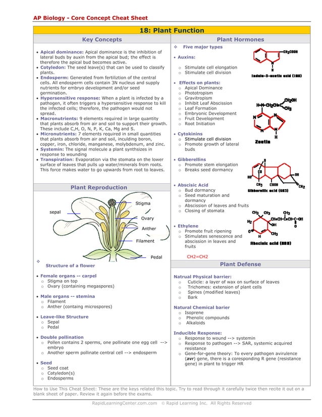 Plant function cheat sheet | PDF