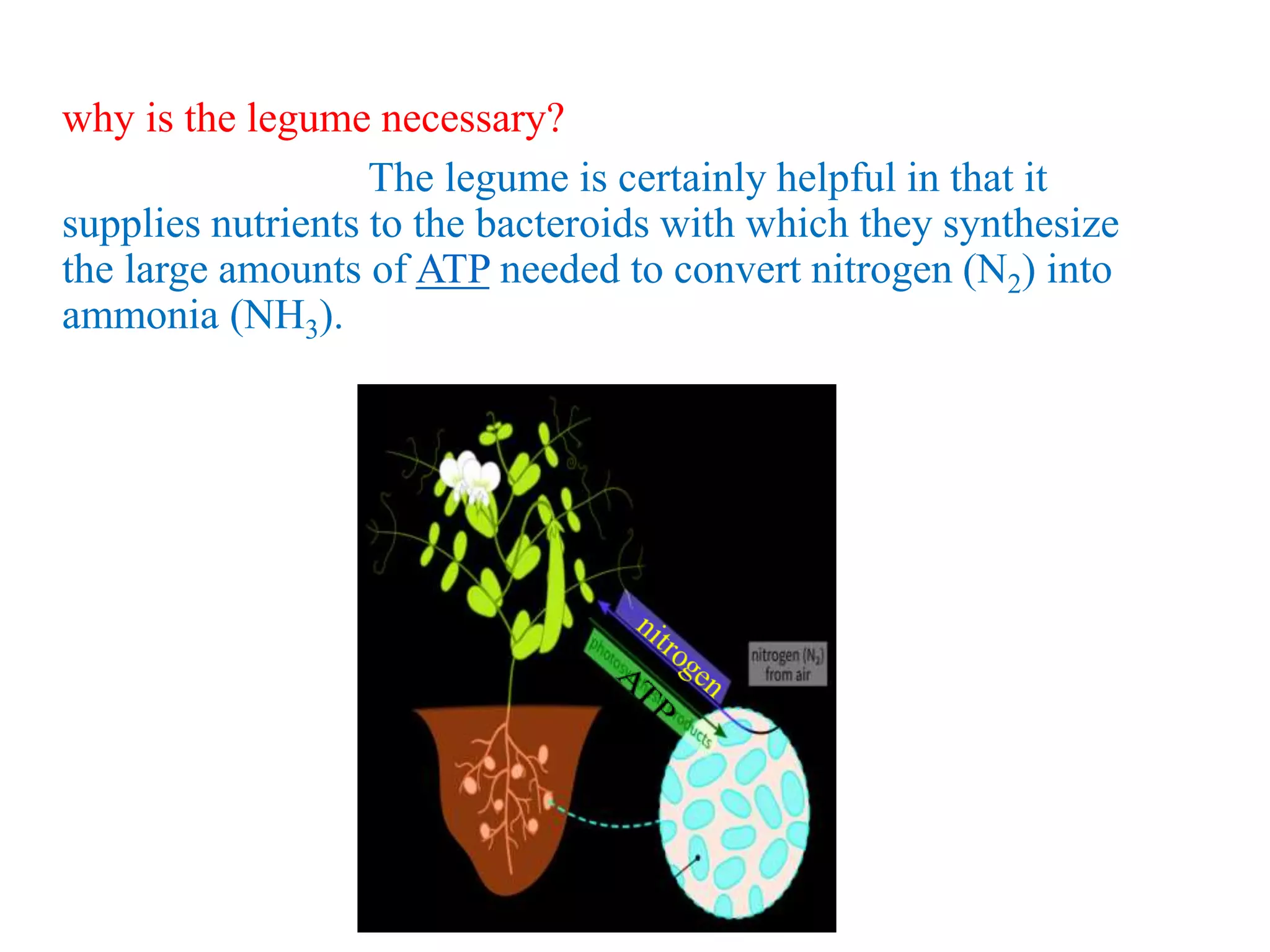 Plant genetic control of nodulation and its utilization in fixing ...
