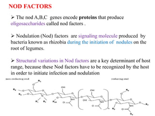 Plant genetic control of nodulation and its utilization in fixing ...