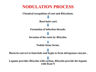 Plant genetic control of nodulation and its utilization in fixing ...