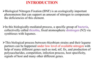 Plant genetic control of nodulation and its utilization in fixing ...