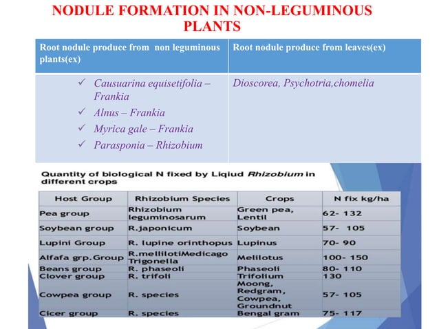 Plant genetic control of nodulation and its utilization in fixing ...