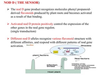 Plant genetic control of nodulation and its utilization in fixing ...